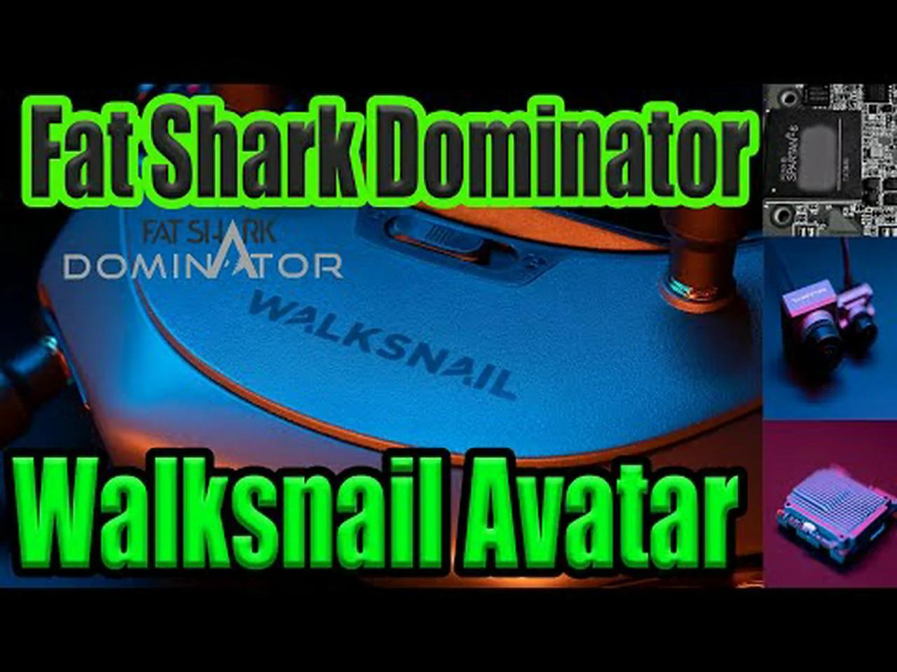 Fat Shark Dominator Avatar HD Digital FPV - The Current Facts