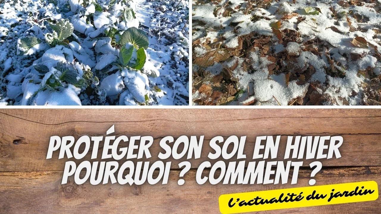👩‍🌾 Protéger son sol en hiver