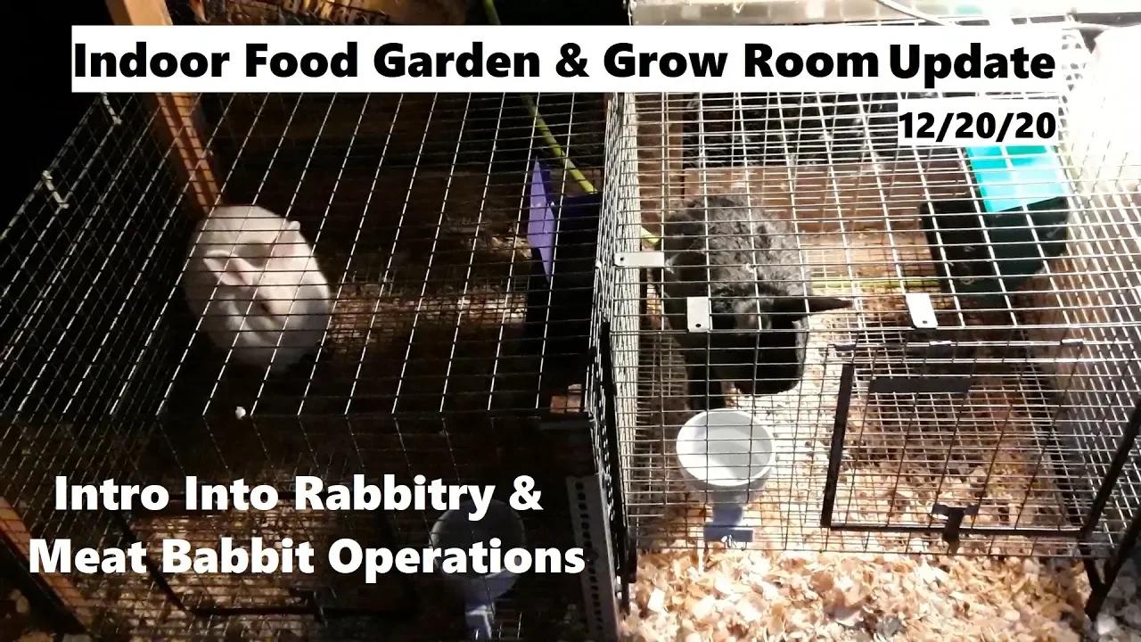 Intro To Rabbitry & Meat Rabbits. 12/20/20 Indoor Food Garden Grow Room ...