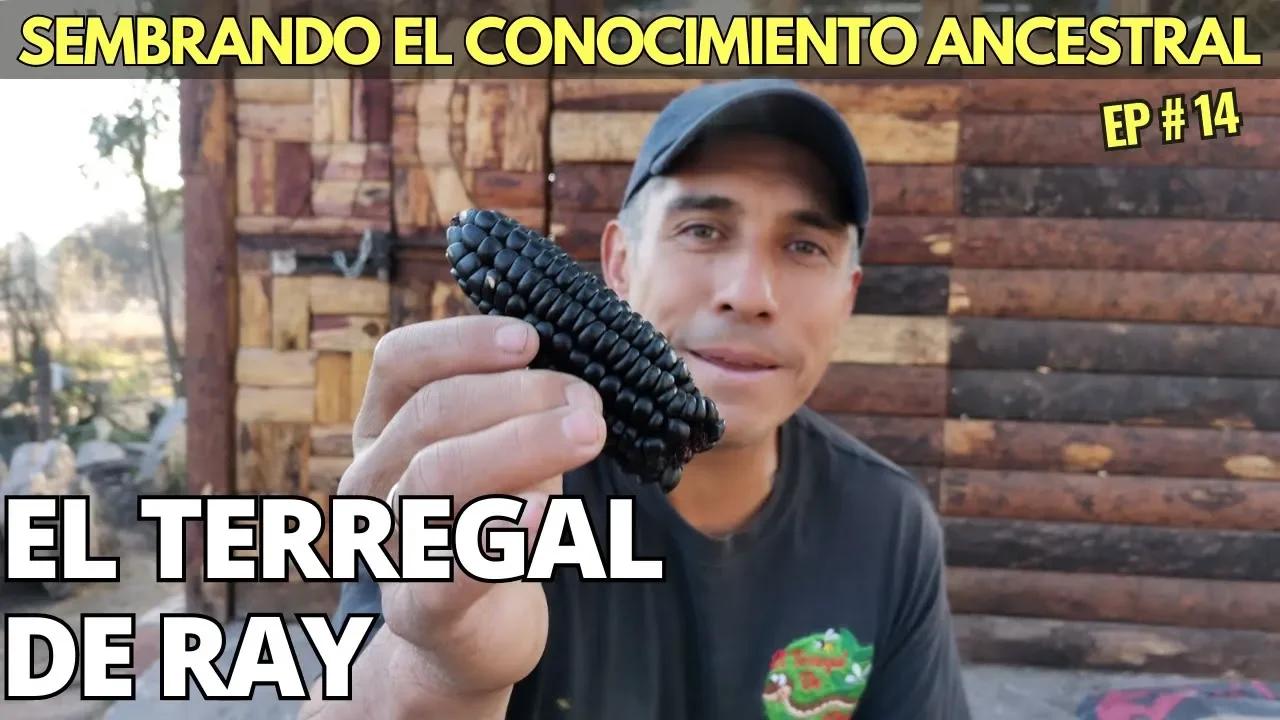 La Agricultura Ancestral Y Su Legado Perdurable | El Terregal De Ray ...