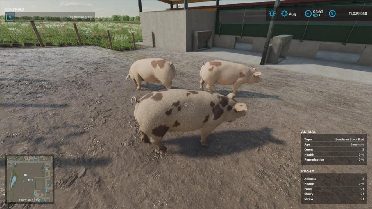 PIG GUIDE FS22 Farming Simulator 22