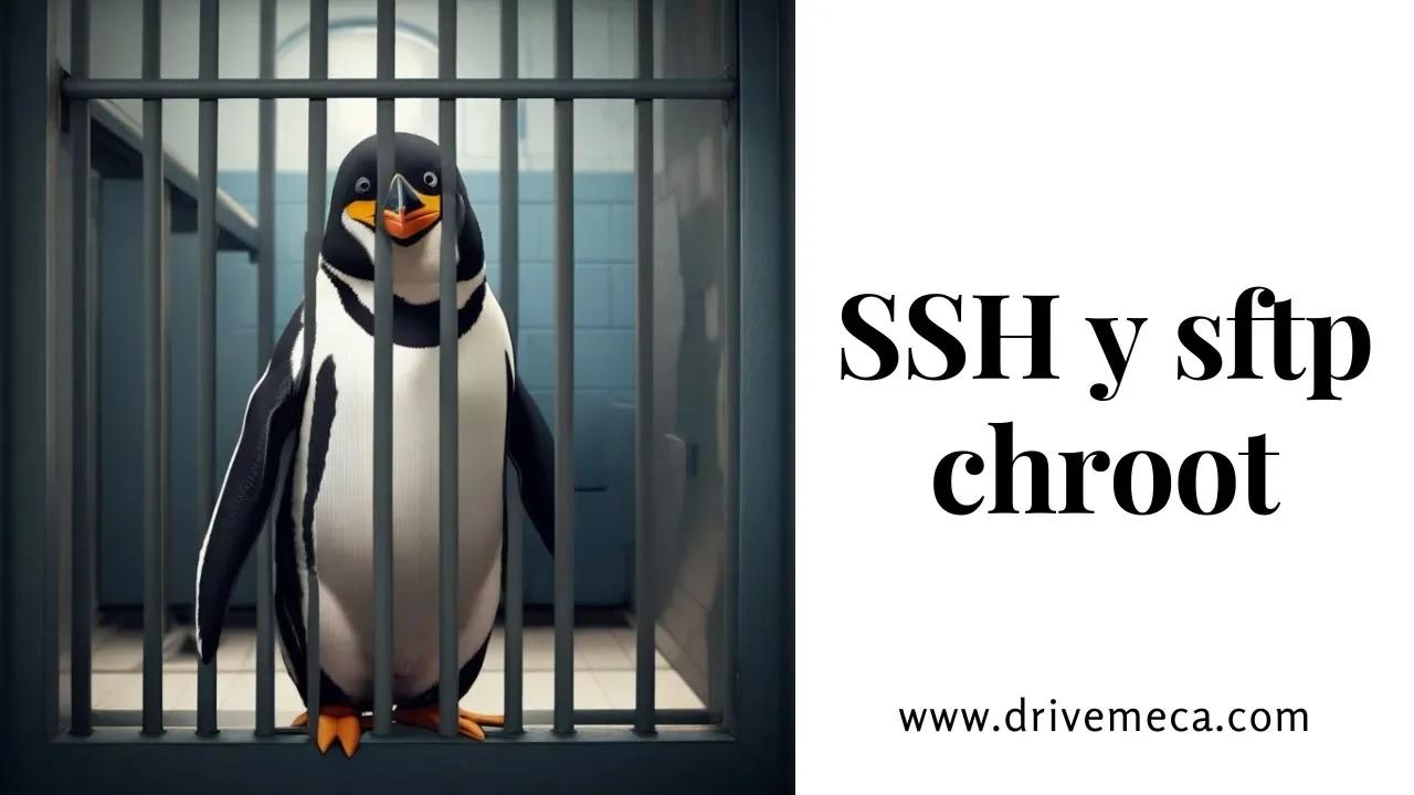 Como crear ambiente ssh chroot y sftp al mismo tiempo en Linux