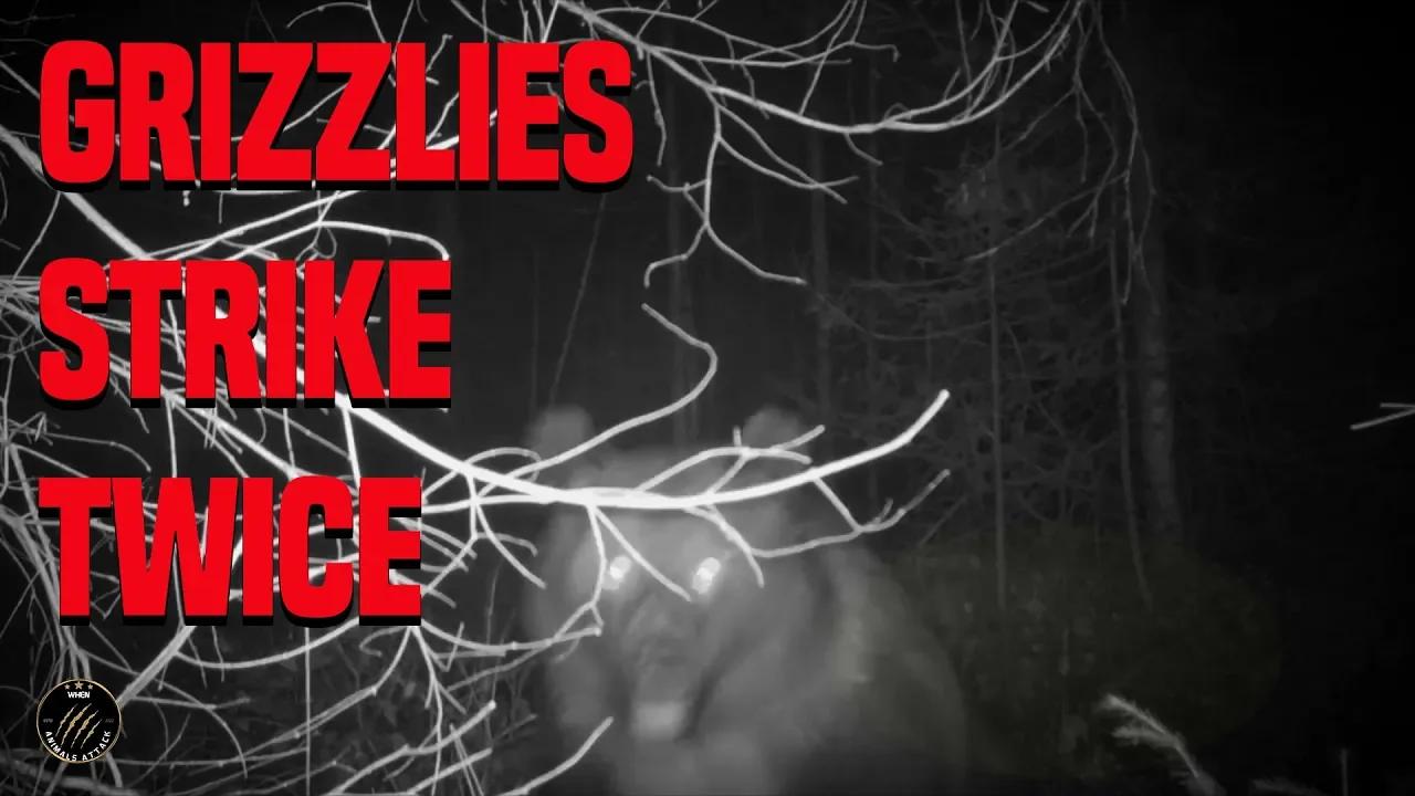 The Horrible Fate Of Julie Helgeson & Michele Koons: A Grizzly End