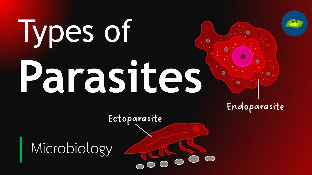 Types of Parasites | Classification of parasites | Microbiology | Basic ...