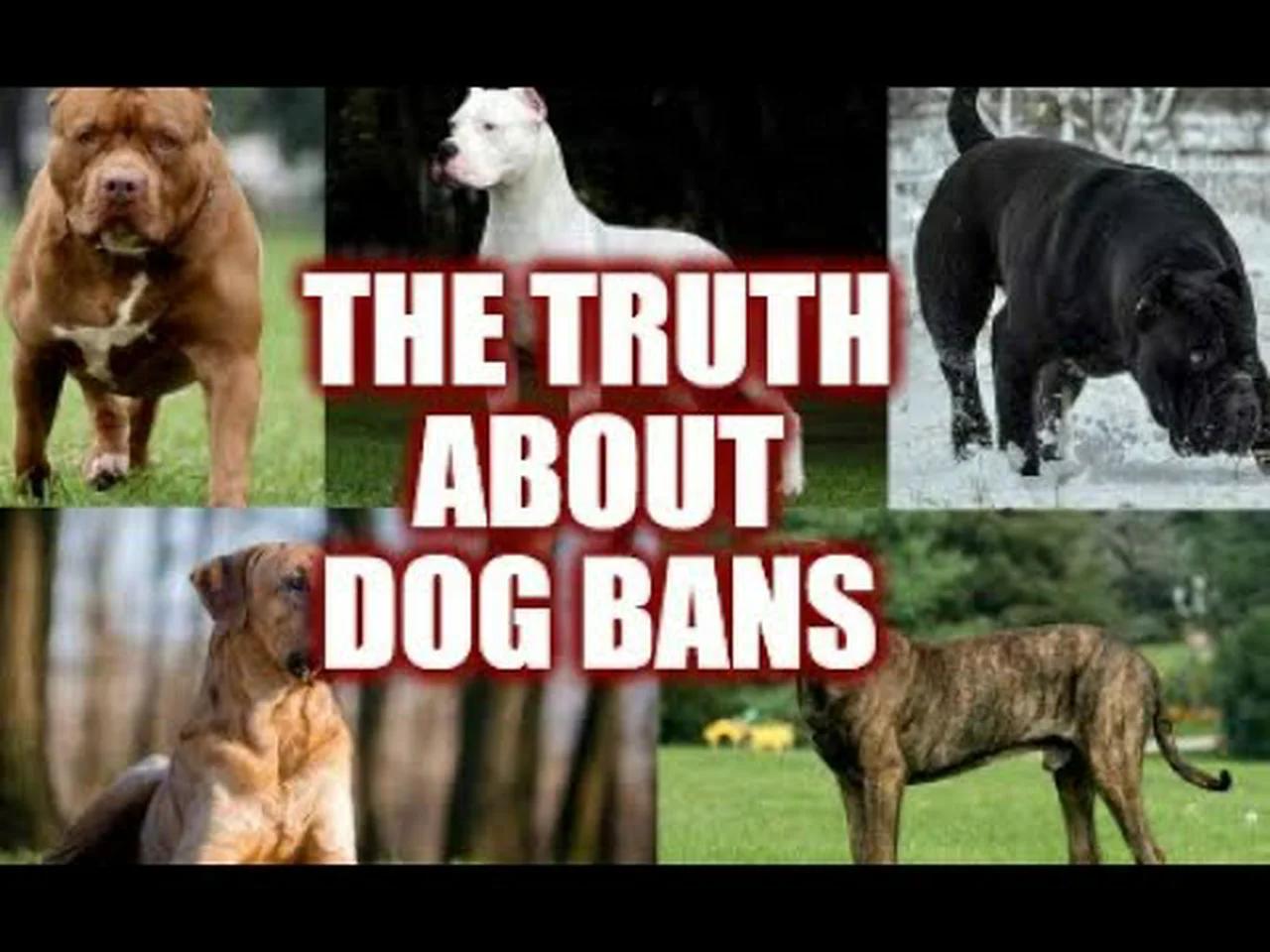 The Truth About Dog Bans