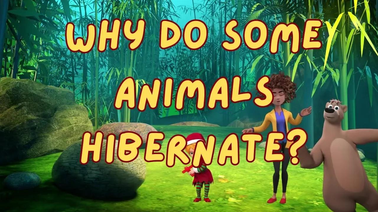Why do some animals hibernate? 🐻🐍1080 mp4