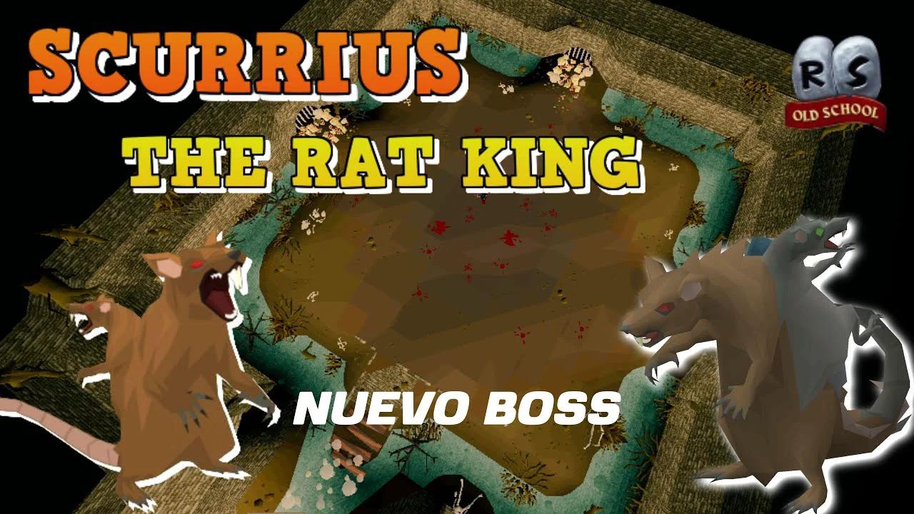 OSRS GUIA NUEVO BOSS SCURRIUS THE RAT KING OLD SCHOOL RUNESCAPE
