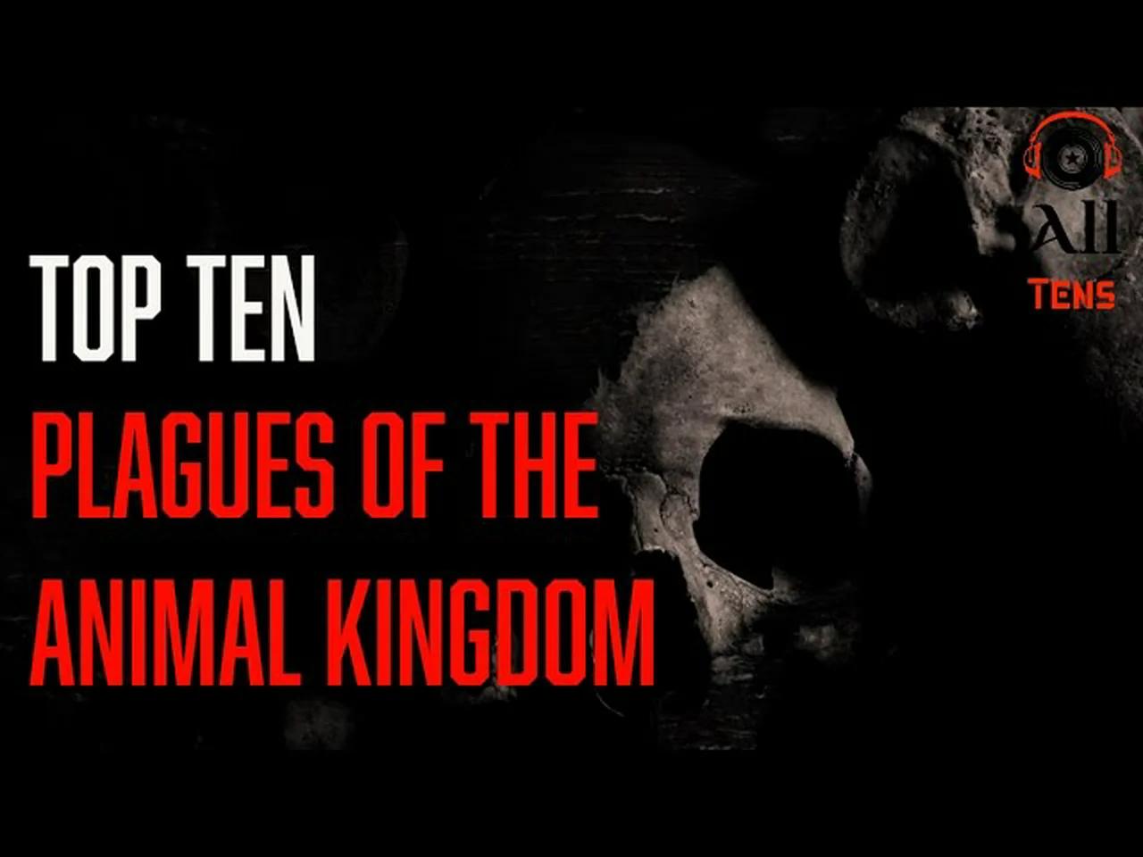 Top Ten Plagues of the Animal Kingdom