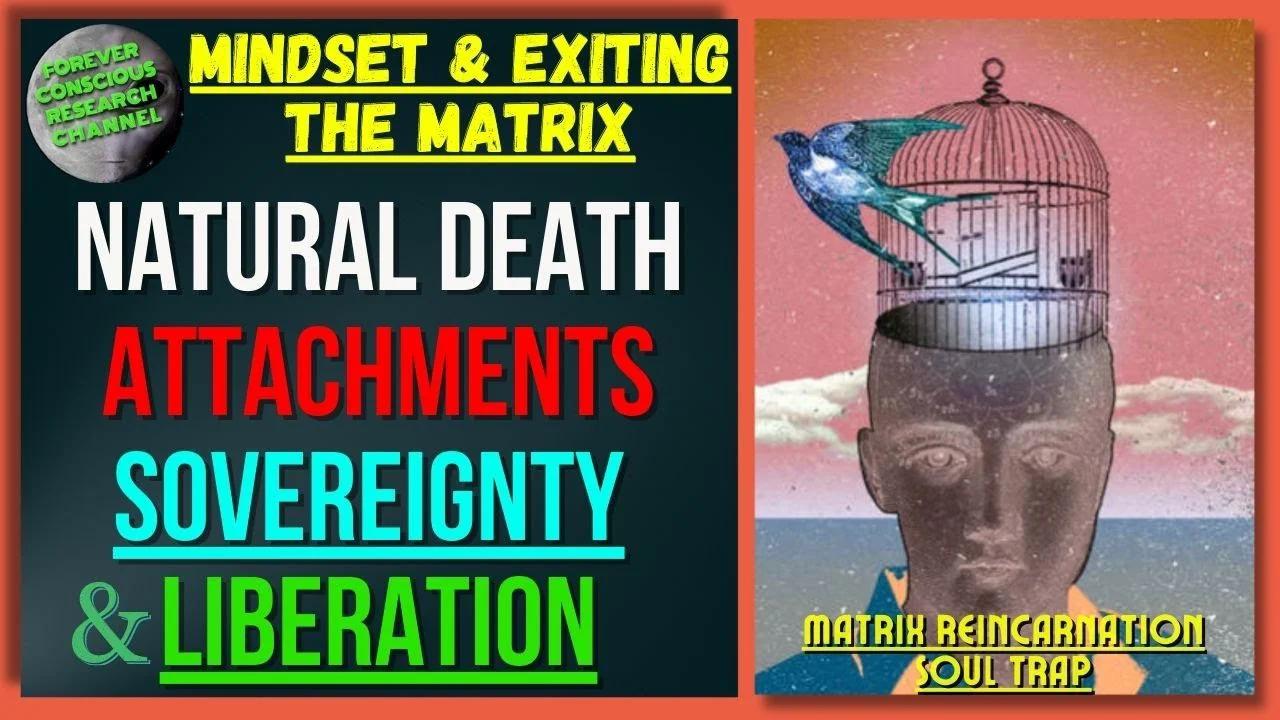 Exiting The Matrix Soul Trap | The Importance of Mindset & Intention ...