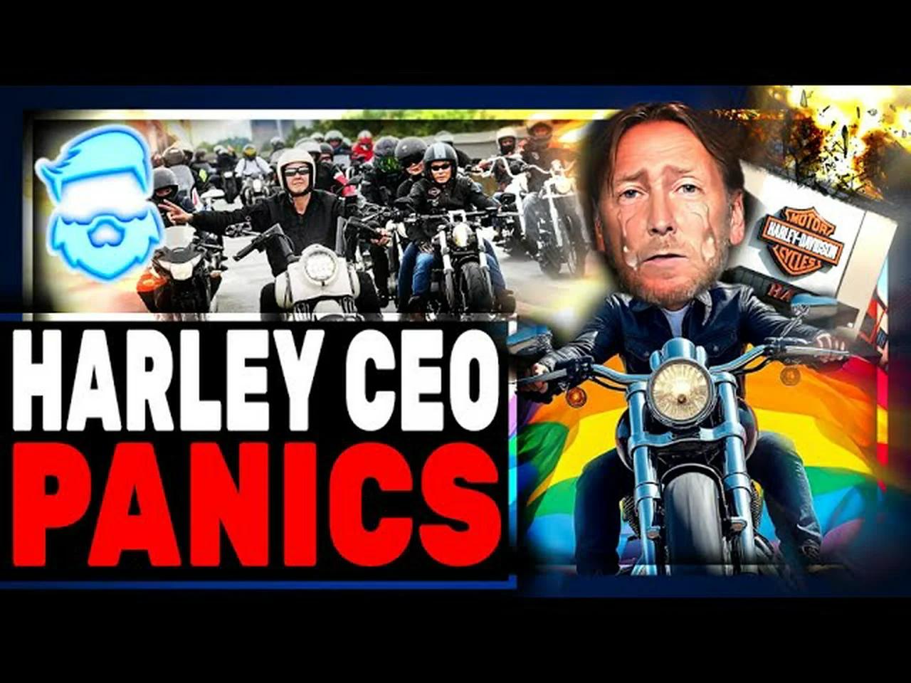 Harley Davidson WOKE CEO In HUGE Trouble! This Isn't Going Away! New ...