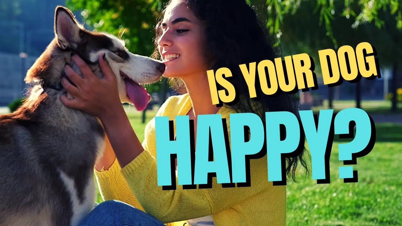 10 Surefire Signs Your Dog is Happy: Learn How to Read Your Pup's Body ...