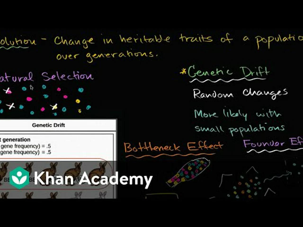 Genetic drift, bottleneck effect and founder effect | Biology | Khan ...