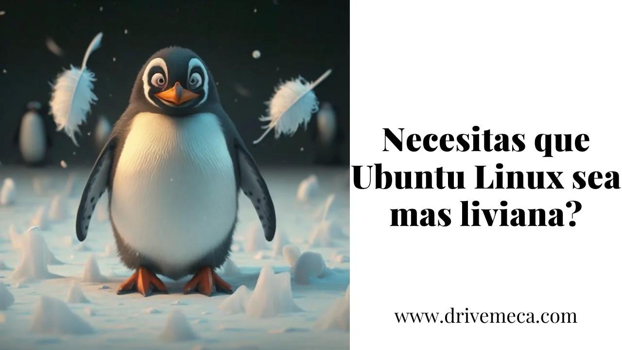 Como instalar Enlightenment WM en Ubuntu LTS paso a paso