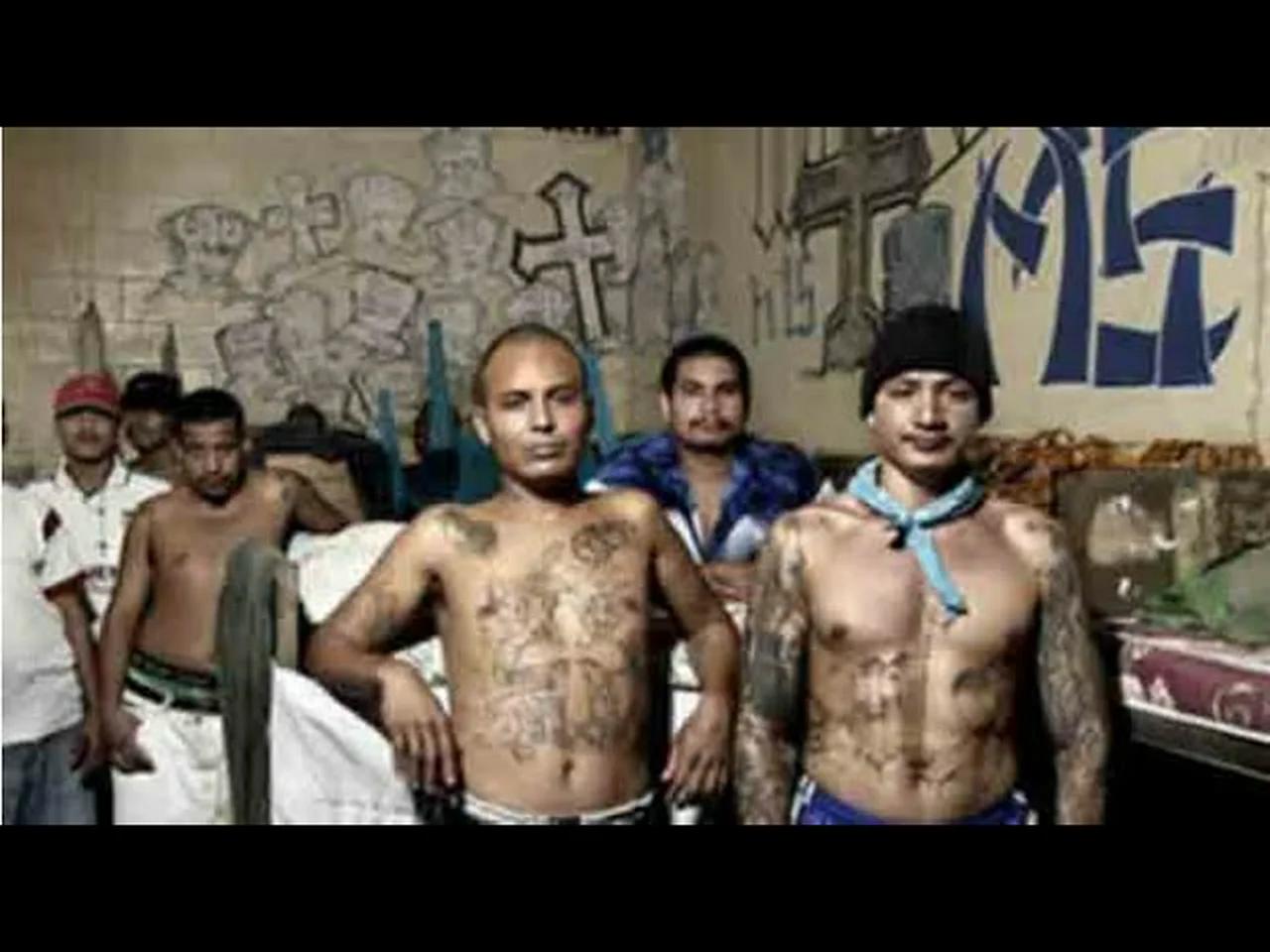Venezuela's Murder Rate Falls To 22 yr Low, All Criminals Fled To U.S!