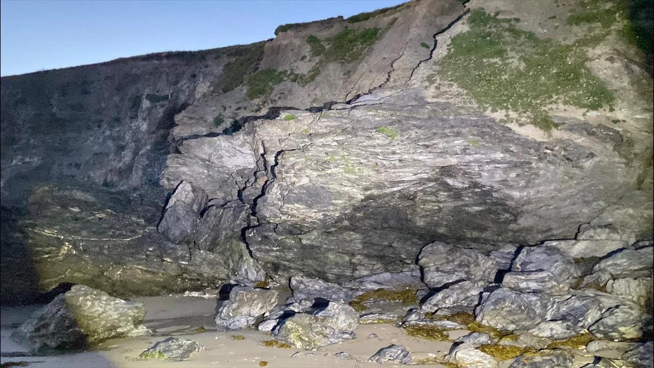 Petrified Tree & Beach - Cornwall