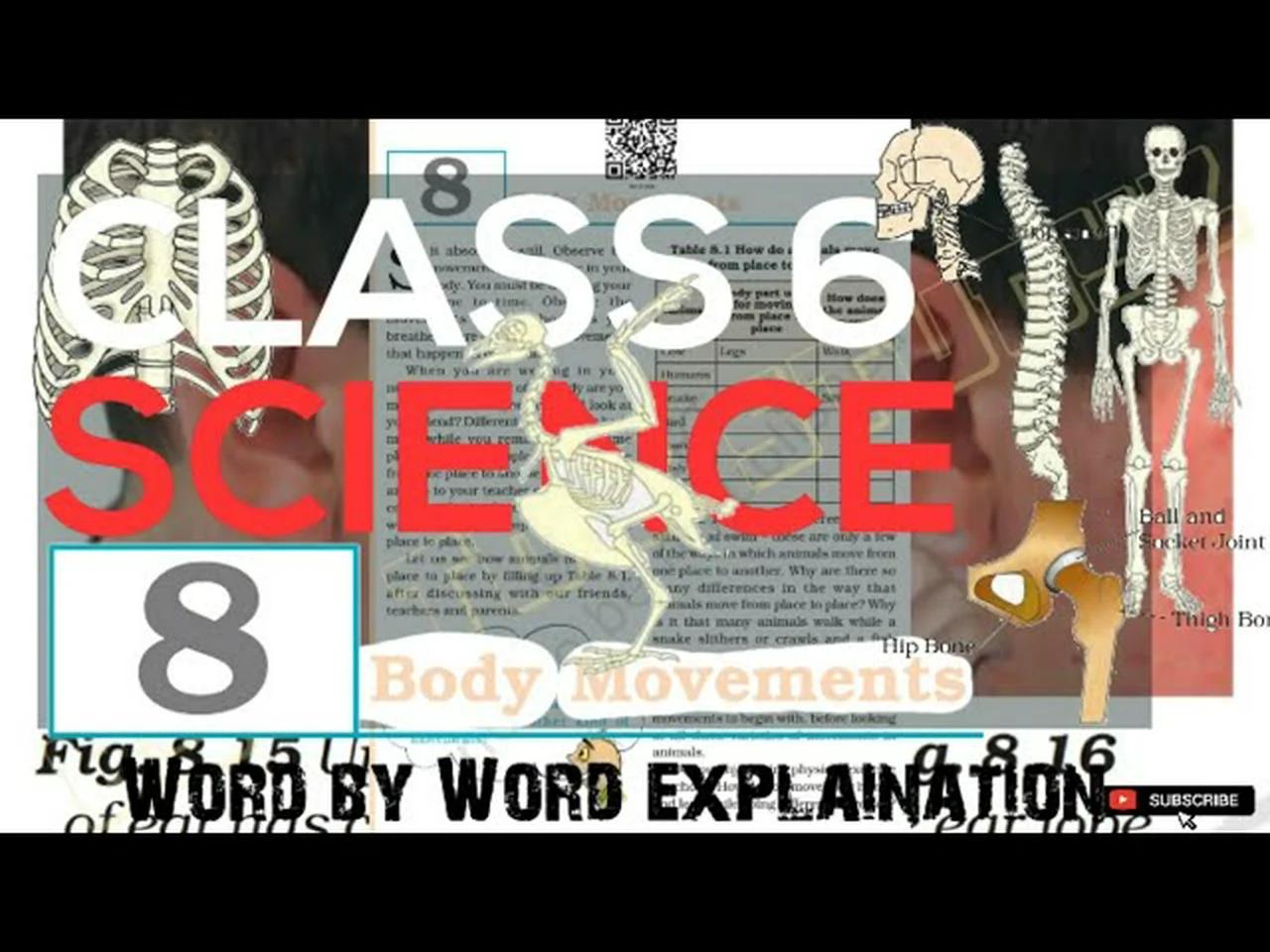 Body Movements | Class 6 SCIENCE | Ch 8 | Q/A ...