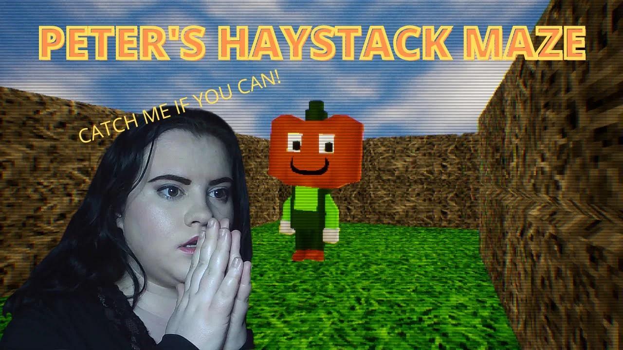 Playing Tag in the Maze | Peter's Haystack Maze (All Endings + All Secrets)