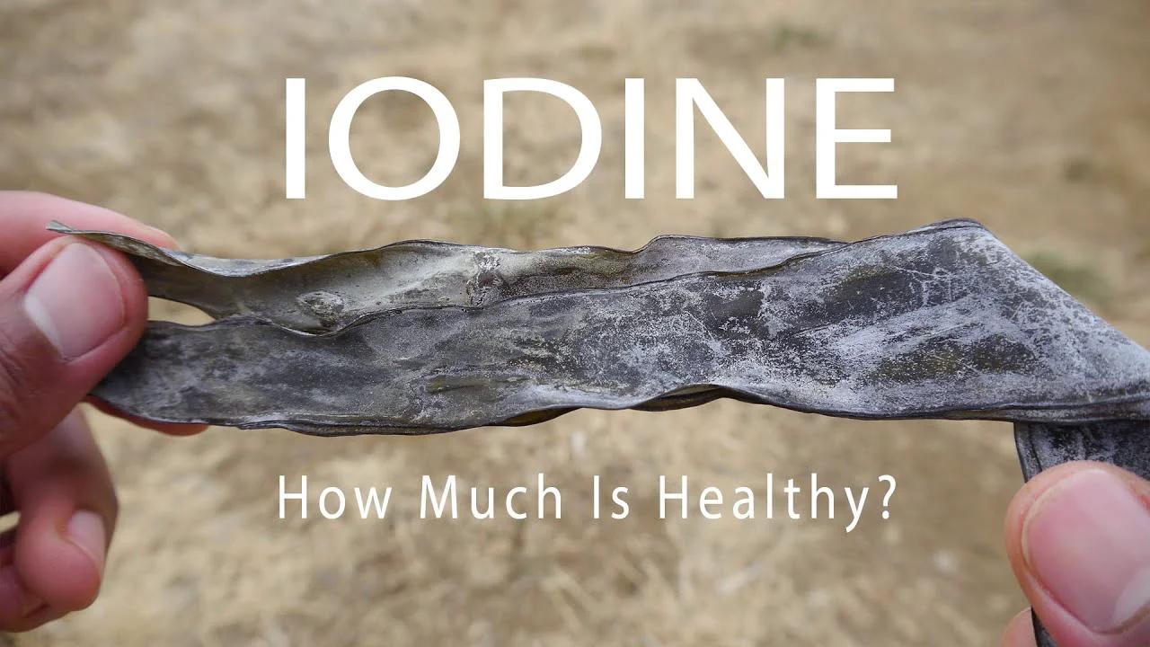 How Much Iodine Is Healthy? For Your Thyroid Gland? From Infants To Adults