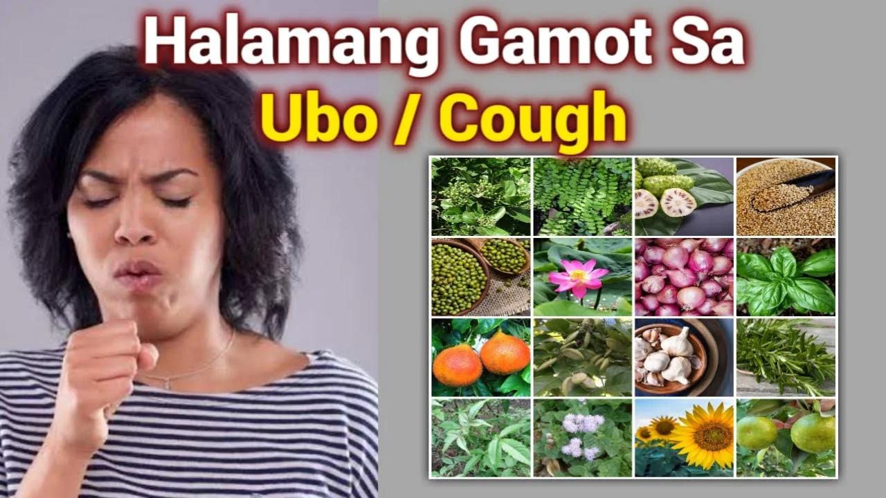 Halamang Gamot Sa Ubo | Halamang Gamot ATBP 121