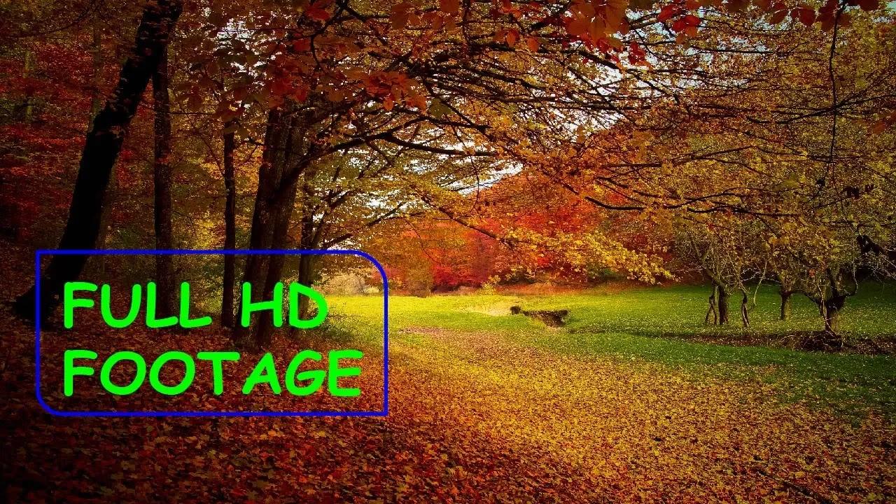 Relaxing Music for Meditation || Relaxing Music, Meditation Music, Yoga ...