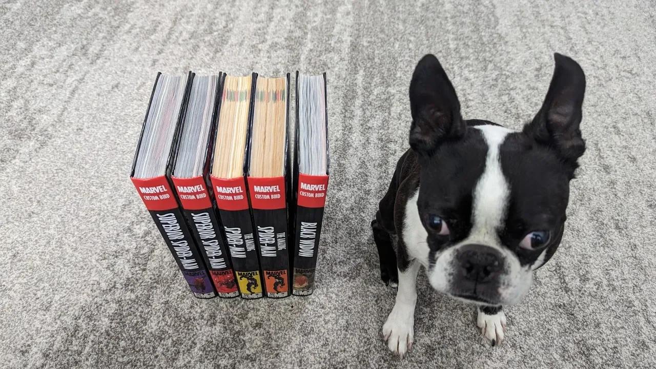 Custom Bound Comics Box Opening