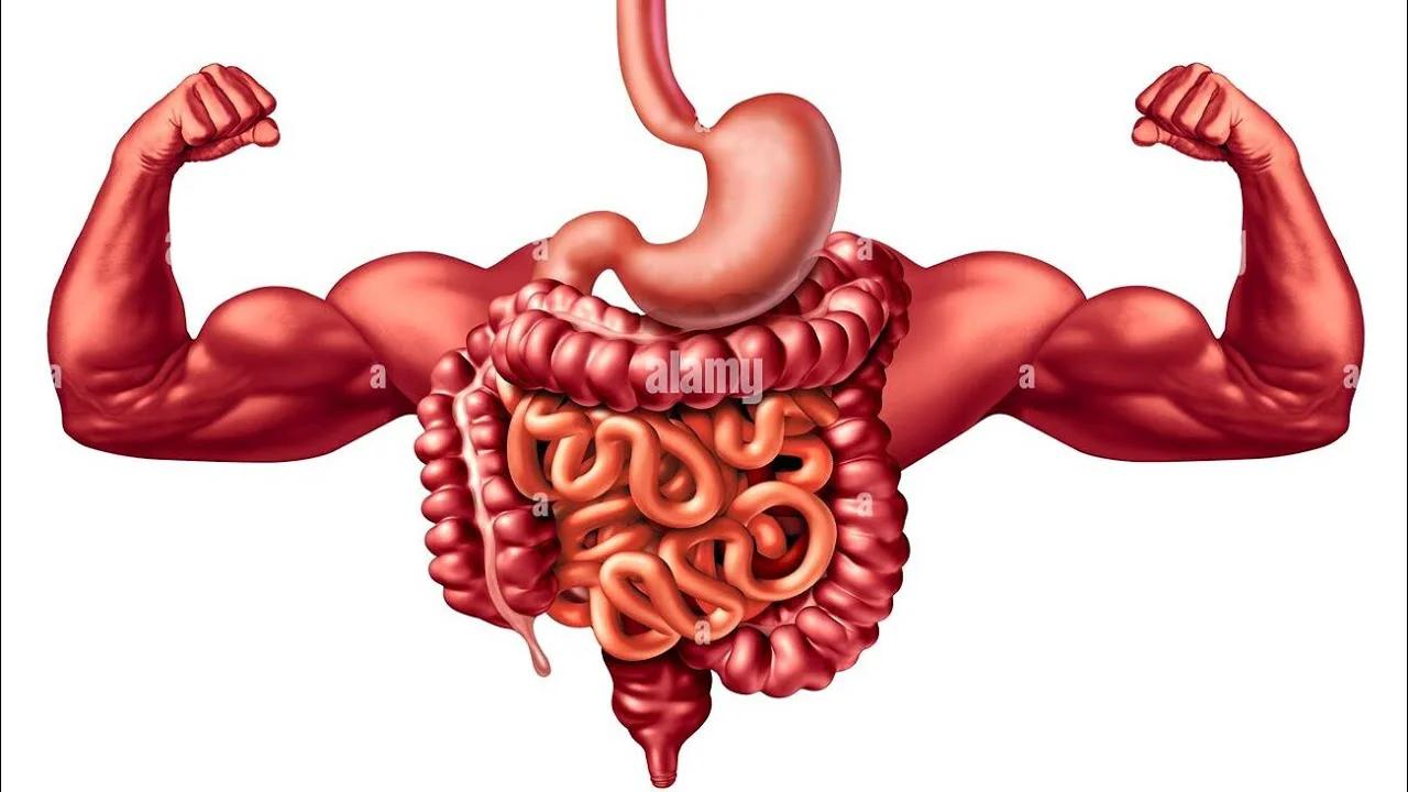 How To Eat With Purpose - Digestion