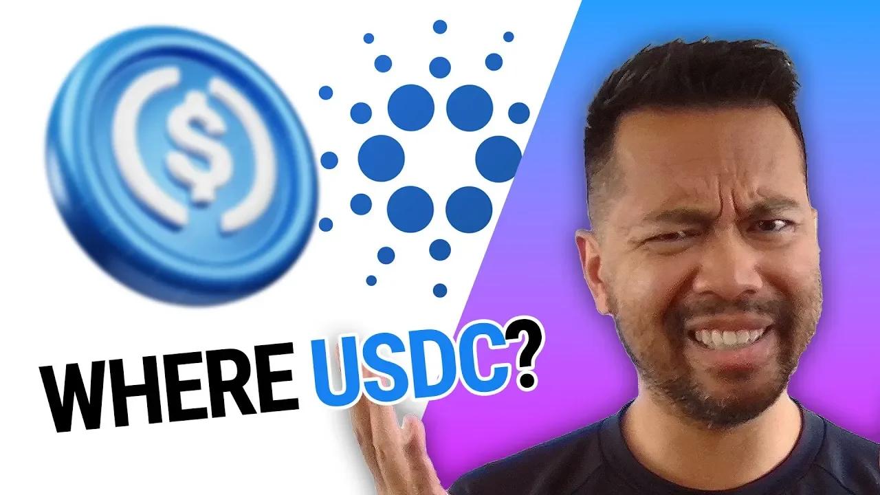 To USDC Or Not To USDC That Is The Question Cardano Stablecoin Drama