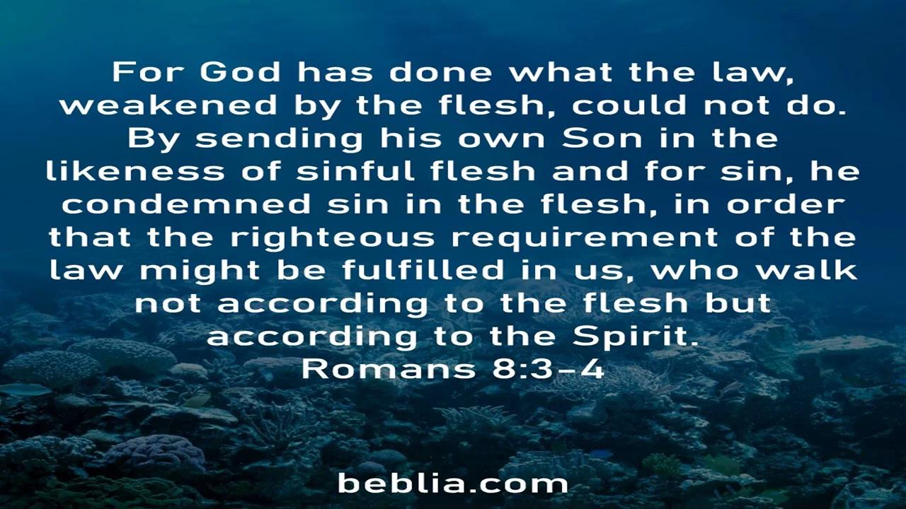 Romans 8:3-4 - Holy Bible Verse #bible #God #jesus #church [SD]