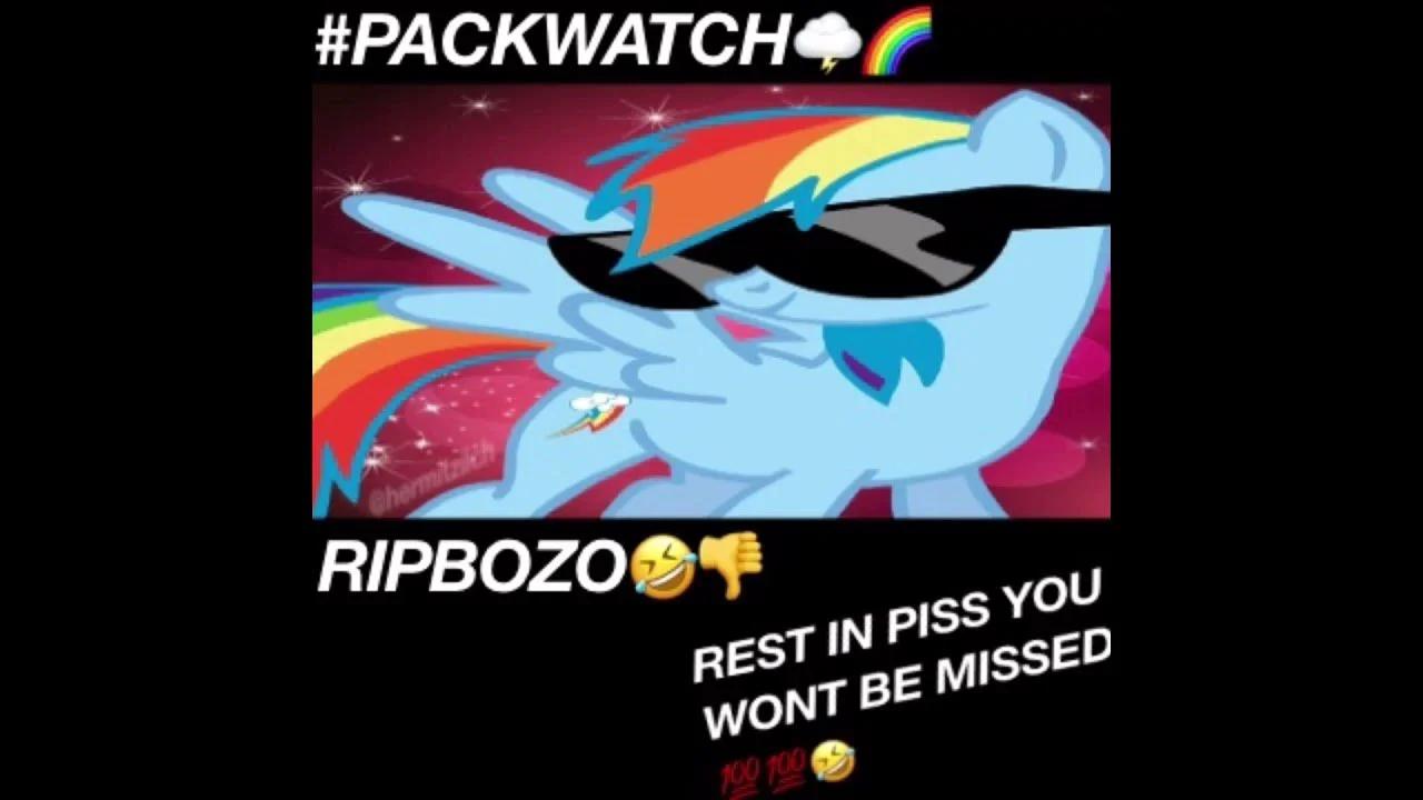 RAINBOW DASH #PACKWATCH 🌩️🌈