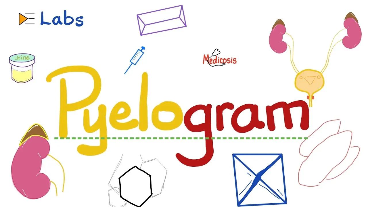 Pyelography (Pyelogram) - Visualize the Urinary Tract - Urology Tests