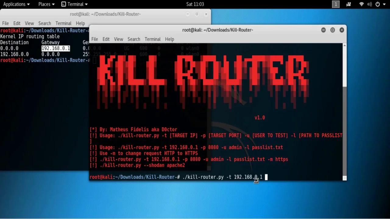 How to use the kill-router.py tool