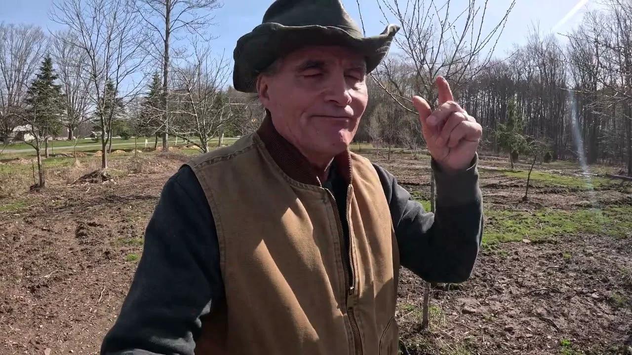 Smoothing the soil between the trees of the 3rd food forest