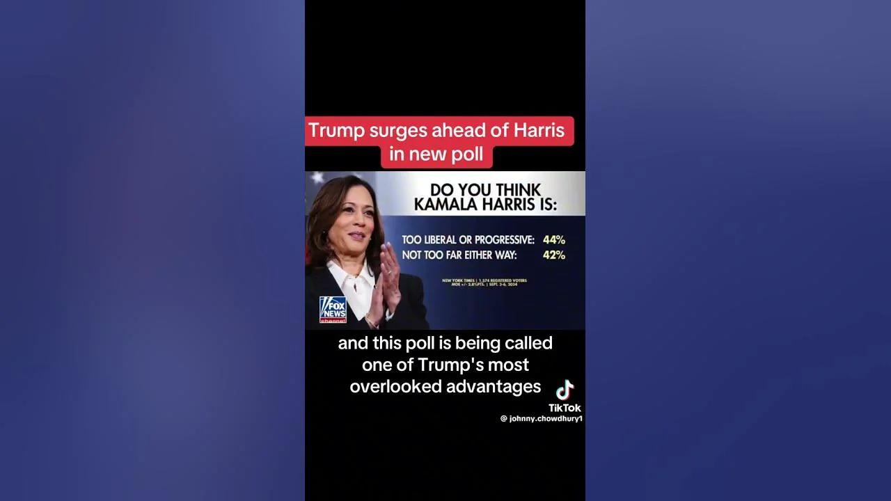 Trump Leads in the Latest Polls | Fox News Report