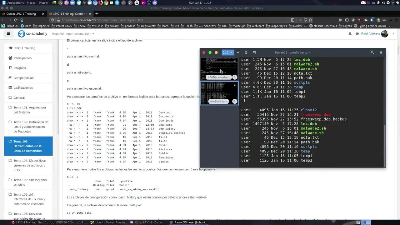 Administrador de Sistemas Linux - LPIC-1 101 - Gestión básica de archivos