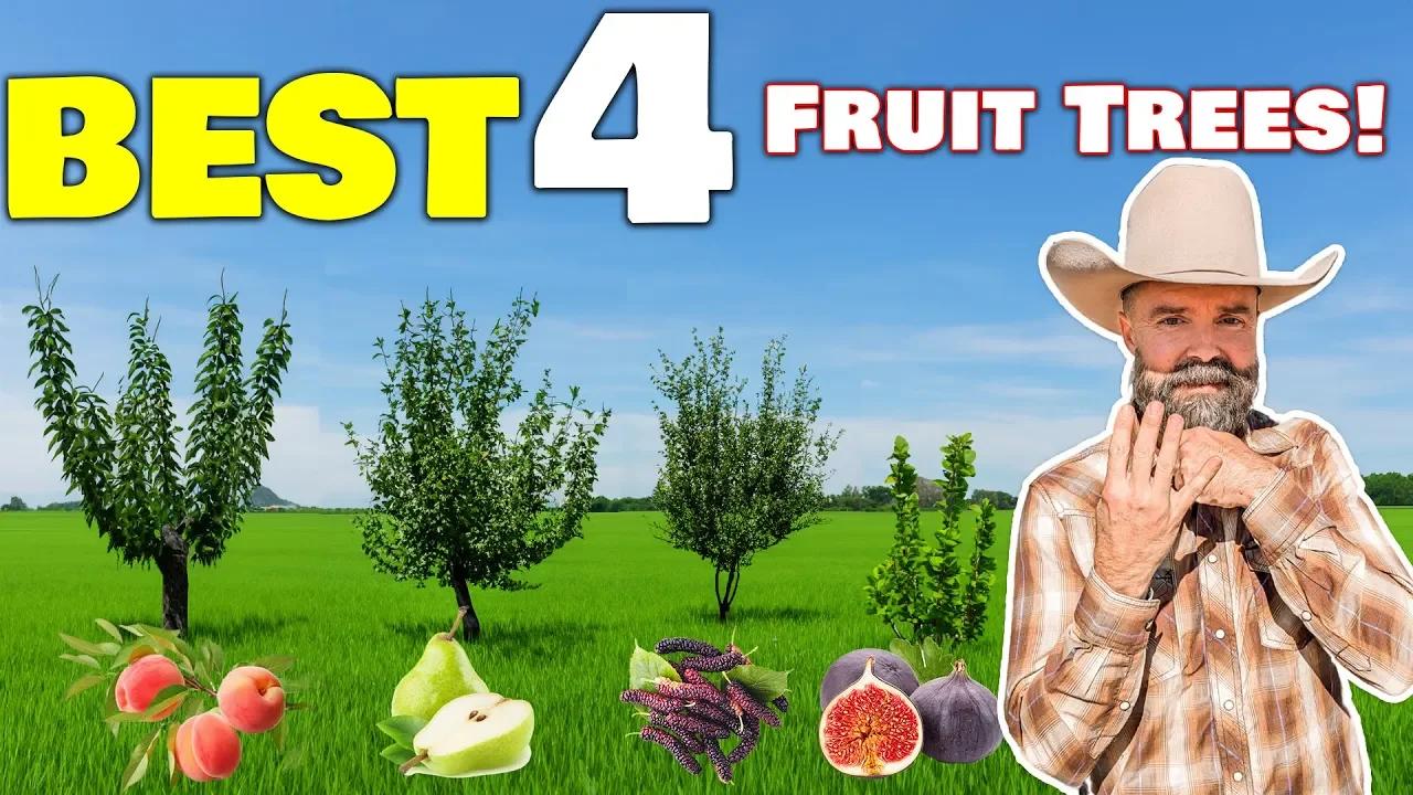 BEST 4 Fruit Trees YOU Need To Plant RIGHT NOW! • SURVIVAL ORCHARDS ...