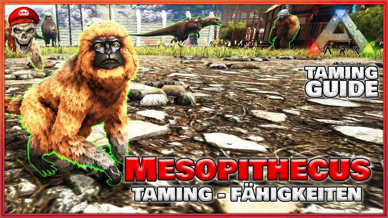 ARK TAMING GUIDE ★ MESOPITHECUS zähmen + Fähigkeiten | ARK: Survival ...