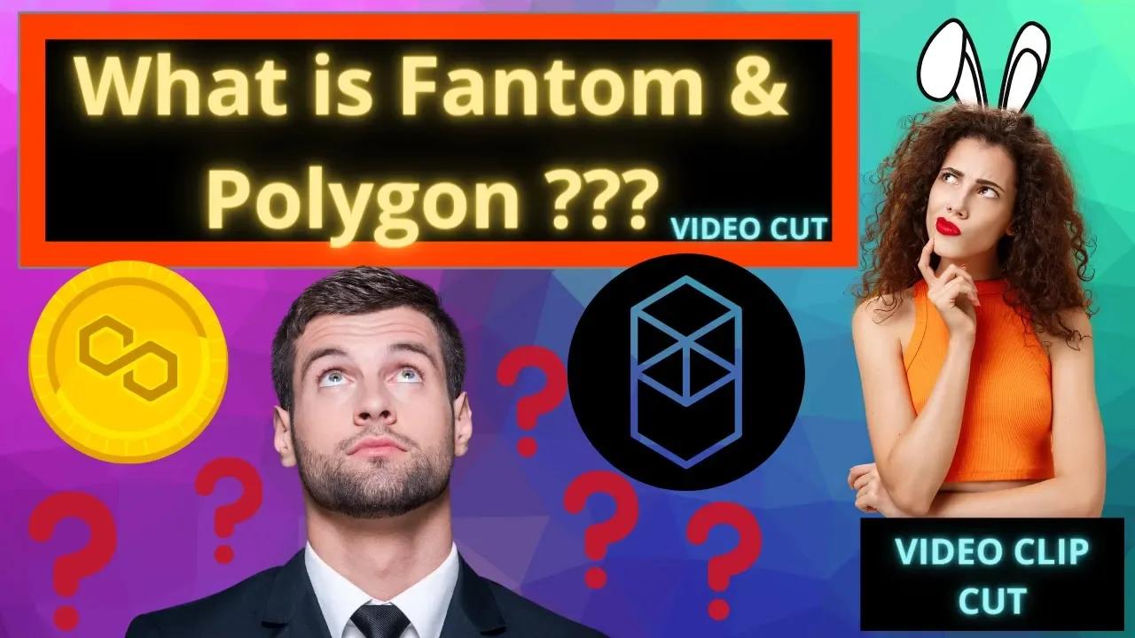 What is Fantom (FTM) and Polygon (Matic)? [Team and Narrative ...