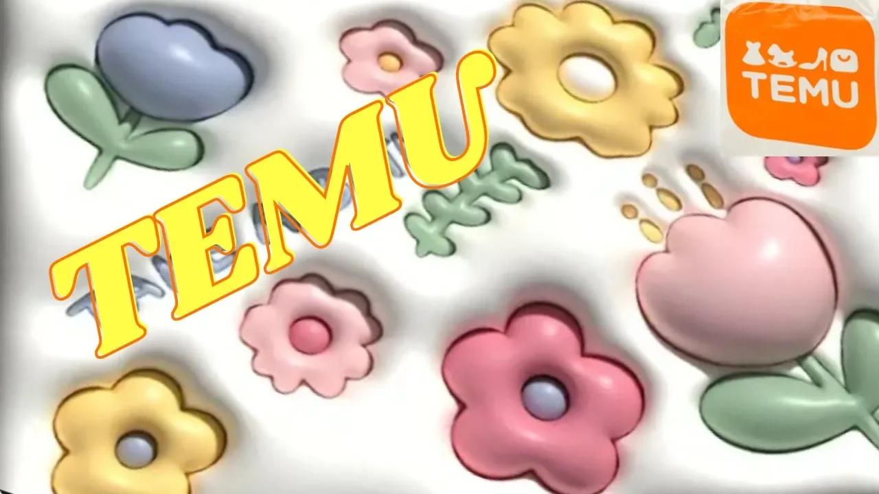 🌸 TEMU 🌸