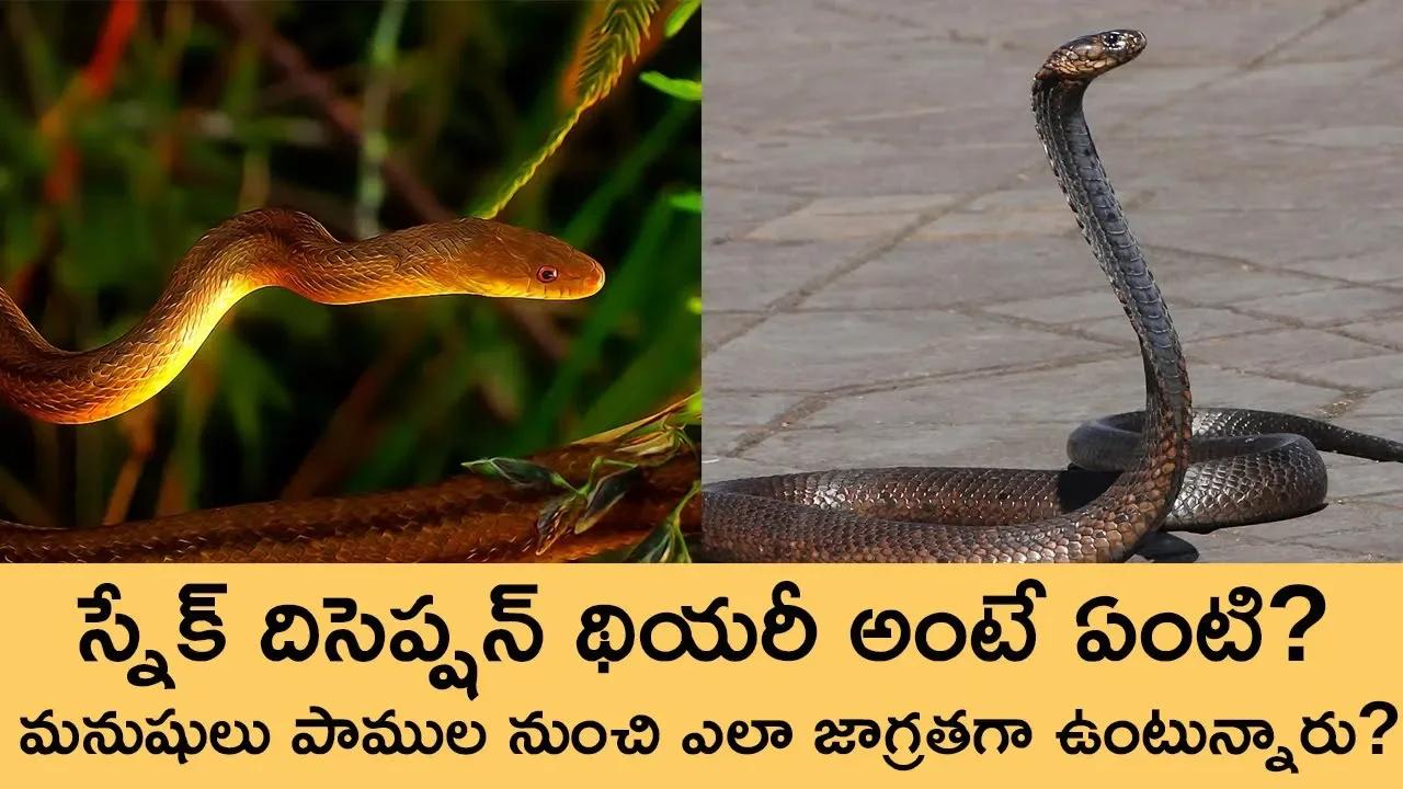 What is Snake Deception Theory in Telugu | How Human vision evolved to ...