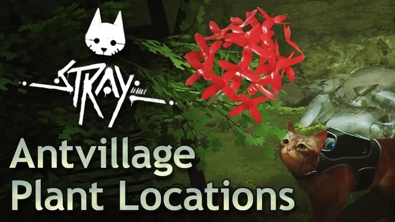 Stray - All Plant Locations in Antvillage Guide