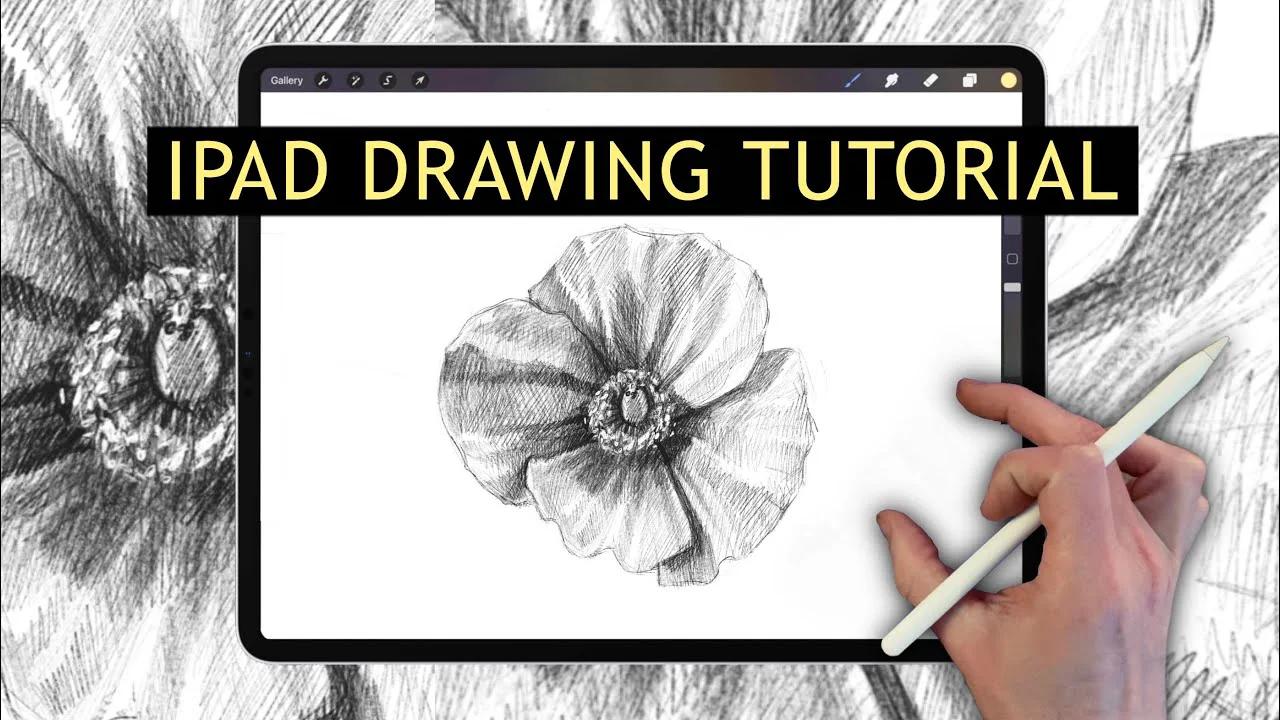 IPAD DRAWING TUTORIAL - Poppy flower drawing techniques