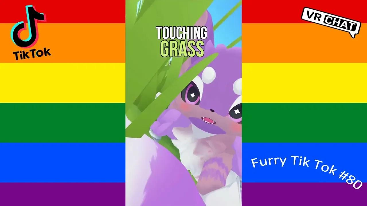 Furry TikTok's That Touch Grass 🌿 #80