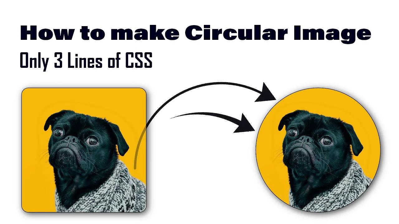 Circular Image In Html Css Programmingtt 6648