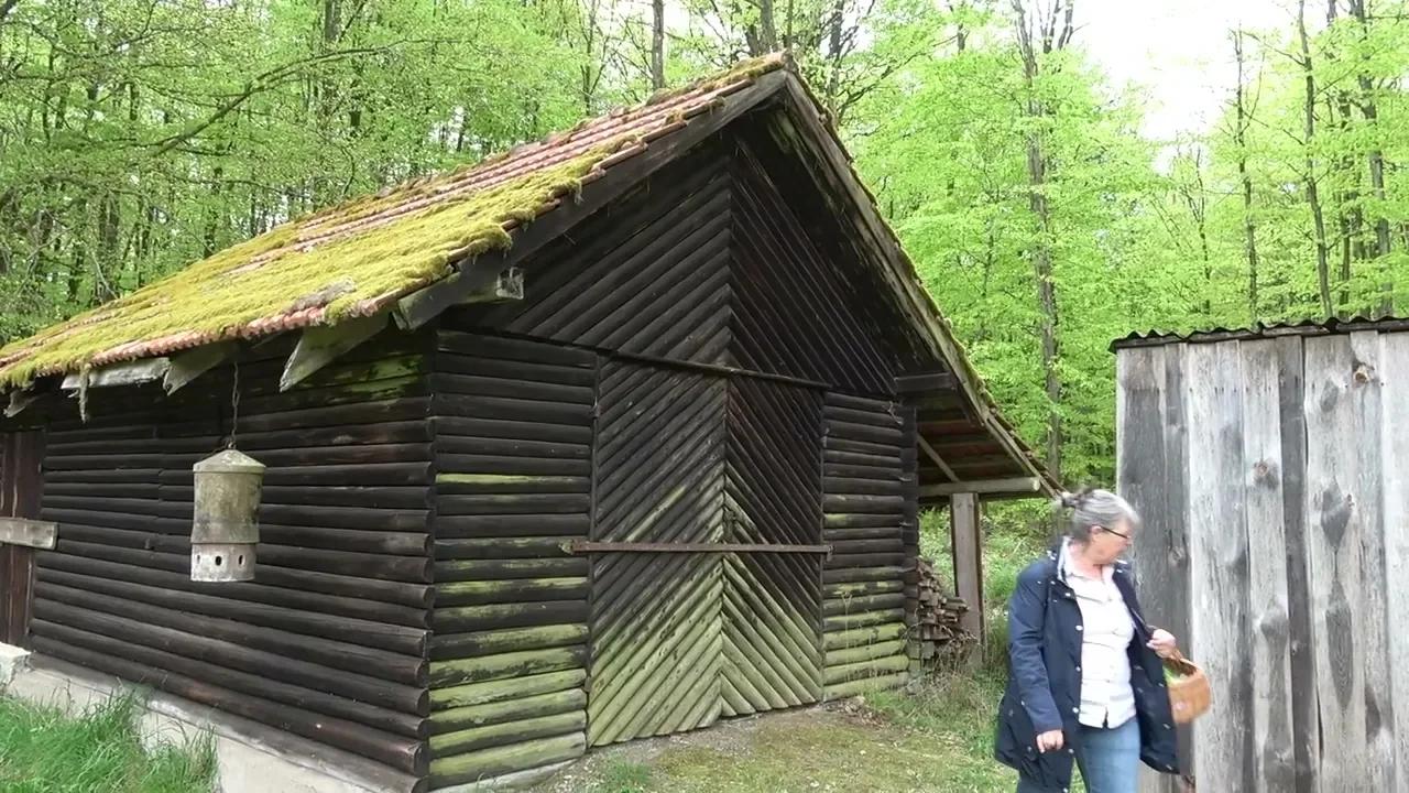 Schneewittchenweg bei Frammersbach