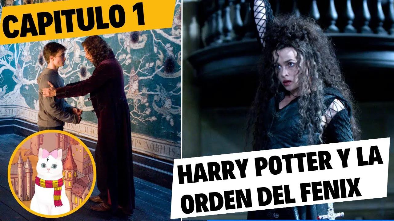 CAP 1 | HARRY POTTER Y LA ORDEN DEL FENIX | DUDLEY DEMENTADO ...
