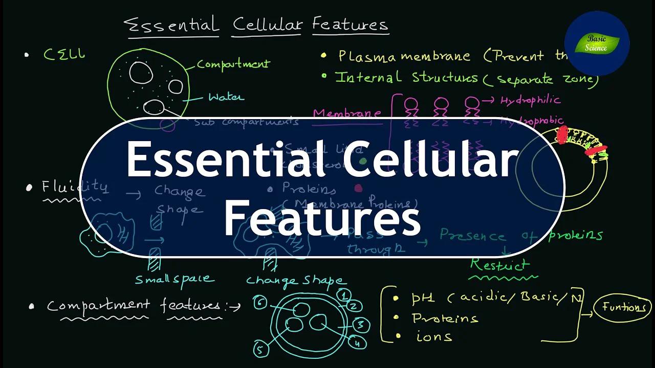 Cell Features that you need to know ! Cell Biology Lectures | Basic ...