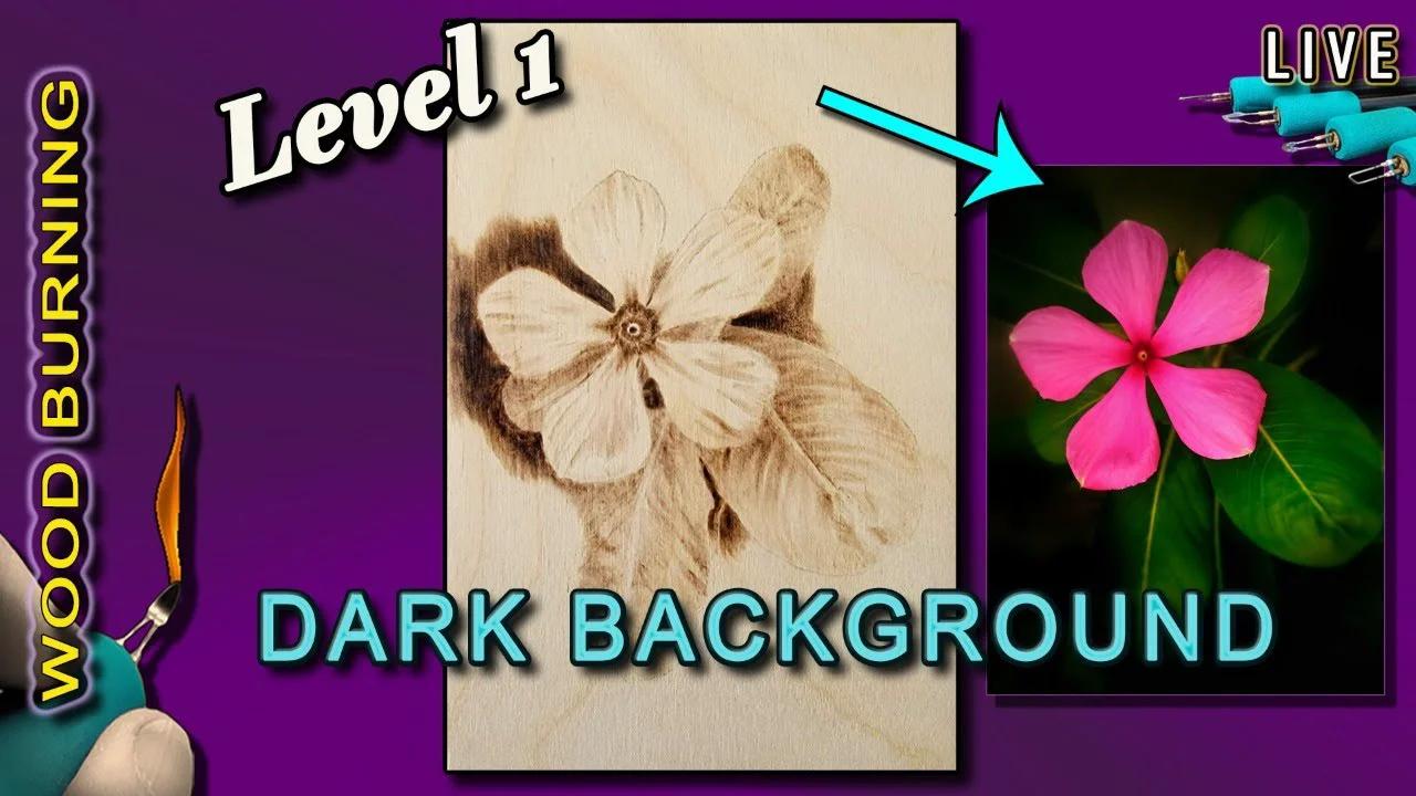 Pyrography (Level 1): Learn how to wood burn a Dark Background like a ...