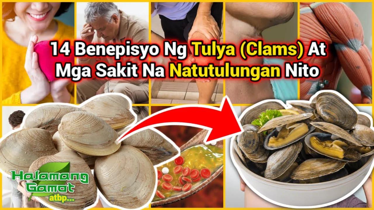 14 Benepisyo Ng Tulya At Mga Sakit Na Natutulungan Nito | Halamang ...