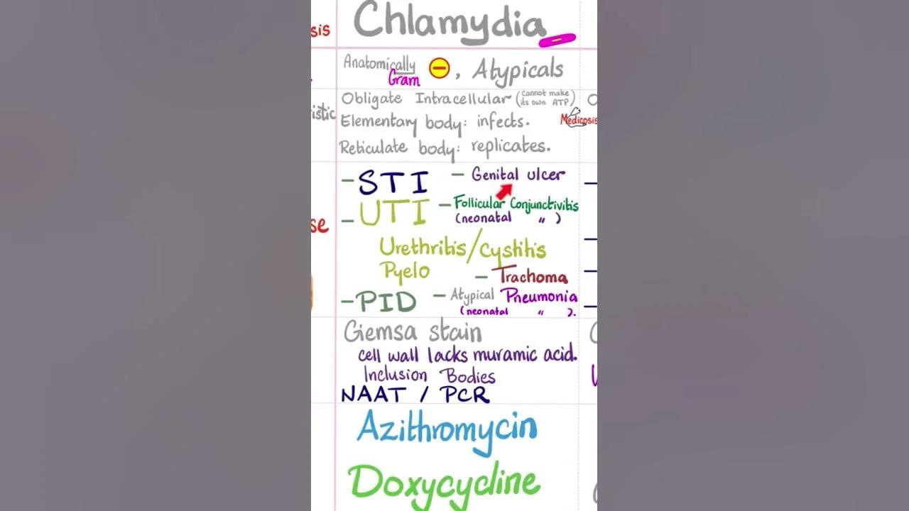 Chlamydia trachomatis- Bacteria- STI, UTI, PID, Conjunctivitis ...