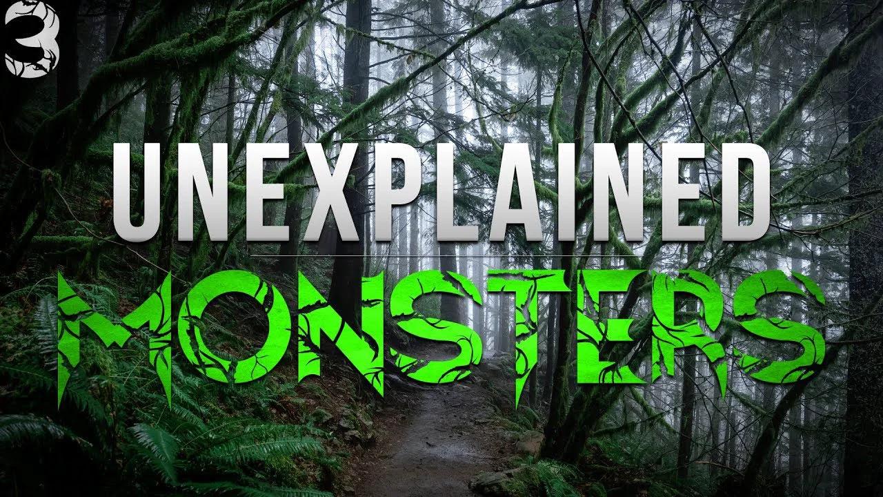 3 Mysterious Creatures That Defy Explanation